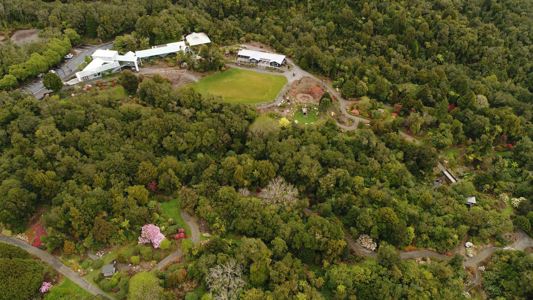 Pukeiti - Taranaki Fringe Garden Festival